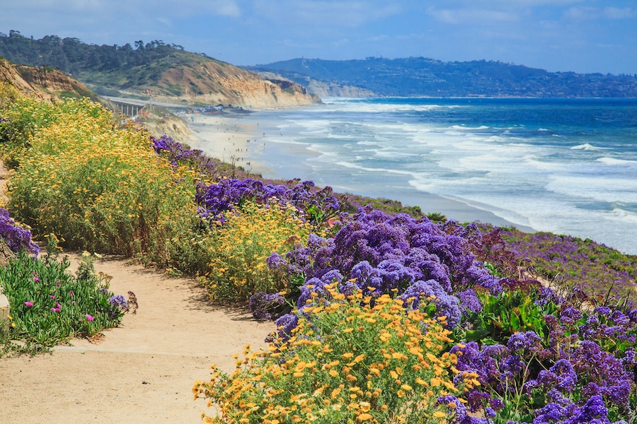 Top Things to Do in Del Mar, CA – Gather Vacations
