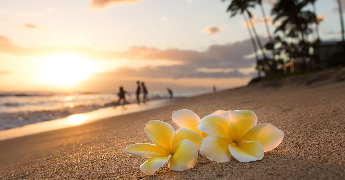 Top 5 Reasons to Visit Hawaii in March: Embrace Aloha Spring (Updated ...
